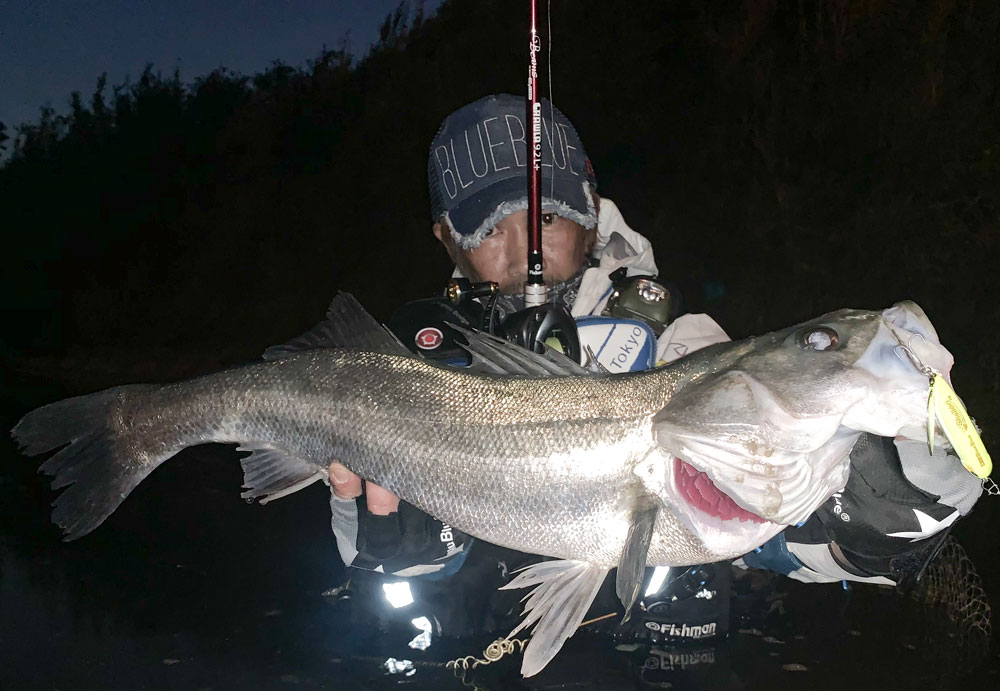 CRAWLAの夏川 - Fishman（フィッシュマン）