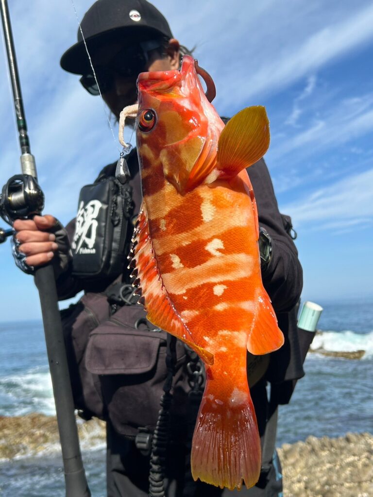 僕のハタ狙いの地磯セッティング - Fishman（フィッシュマン）